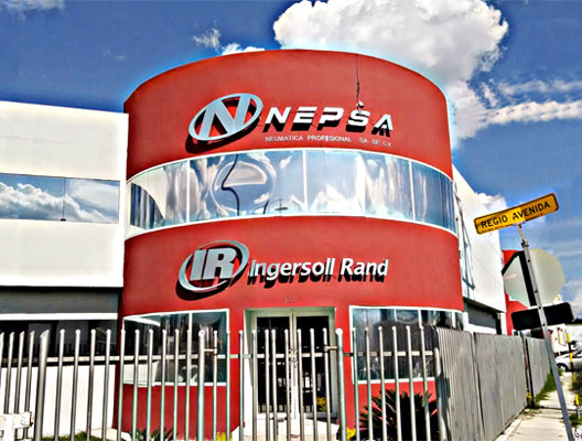 Quienes Somos - NEPSA